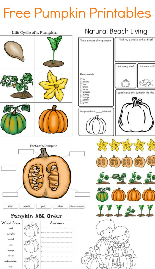 Free Pumpkin Worksheets Printable – Worksheets Library with Free ...